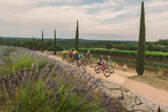 Bike tour Istria – Fewo Istria